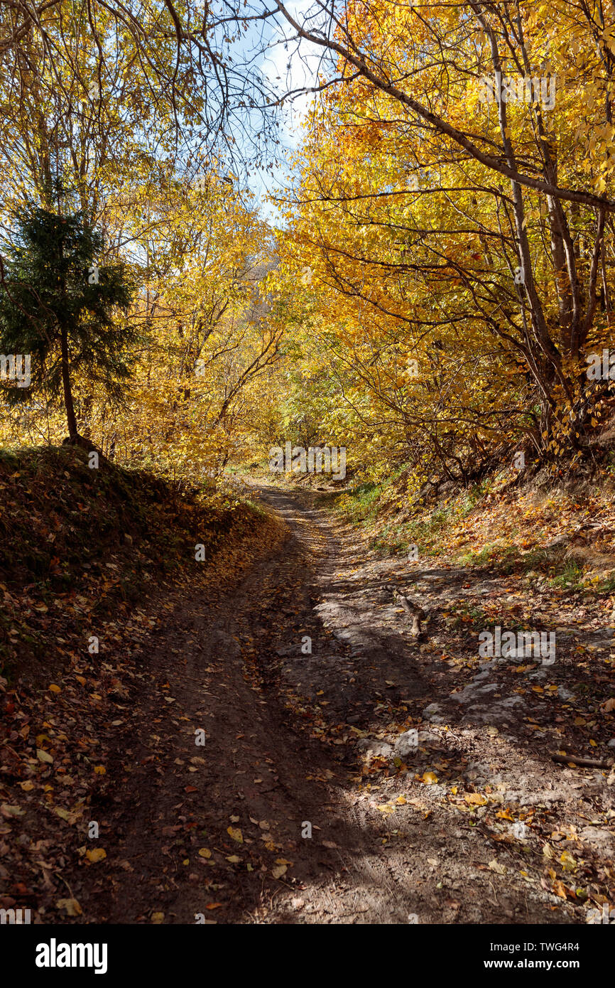 autumn landscape with bright colors in the daytime Stock Photo - Alamy