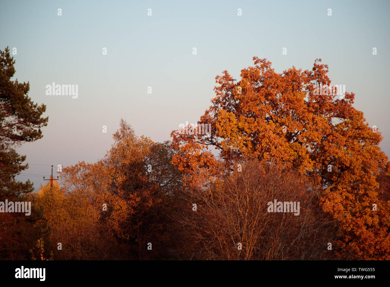 Daytime colors hi-res stock photography and images - Alamy