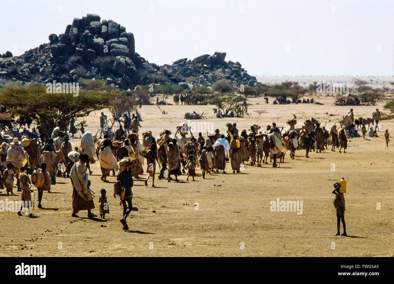 Famine in Sudan and Ethiopia 1984-1985 Starving Refugees fleeing the ...