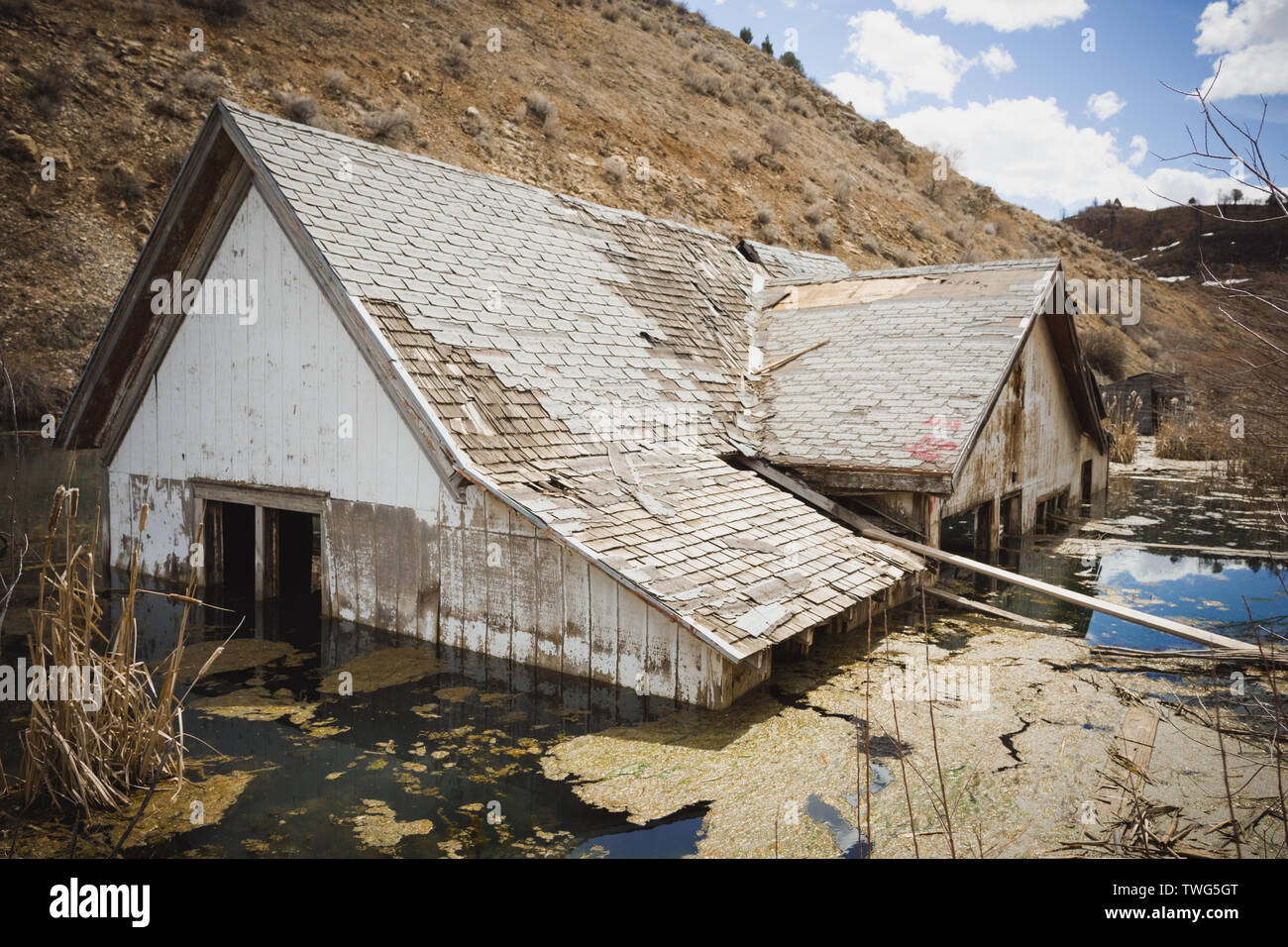 Thistle Flood Of 1983
