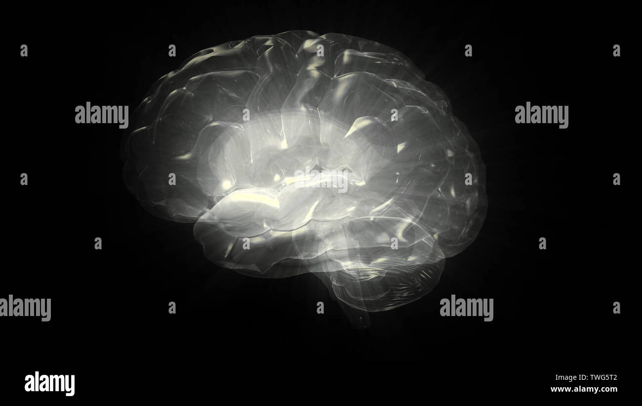 3D rendering of computer model of human brain and artificial ...