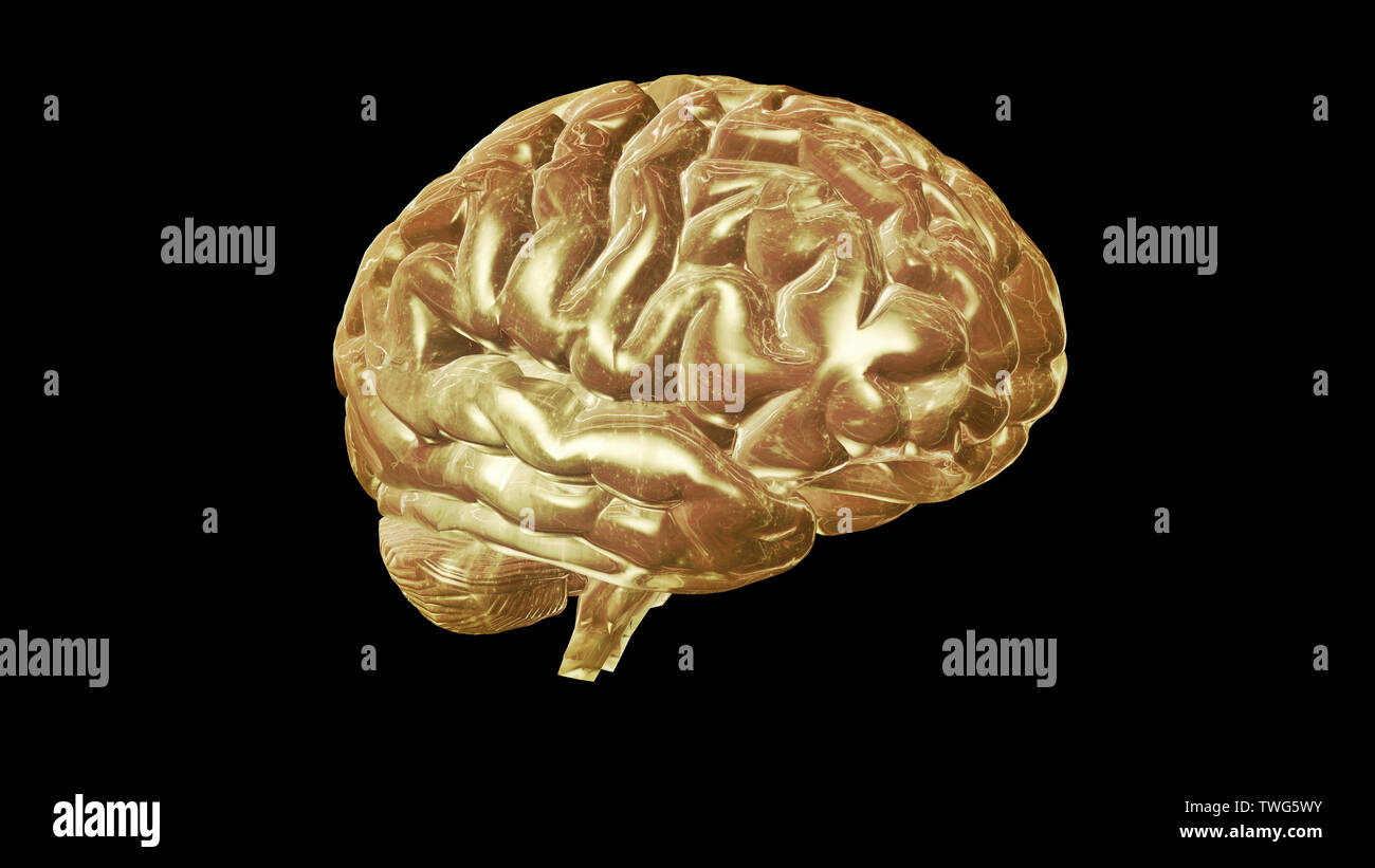 3D rendering of computer model of human brain and artificial ...