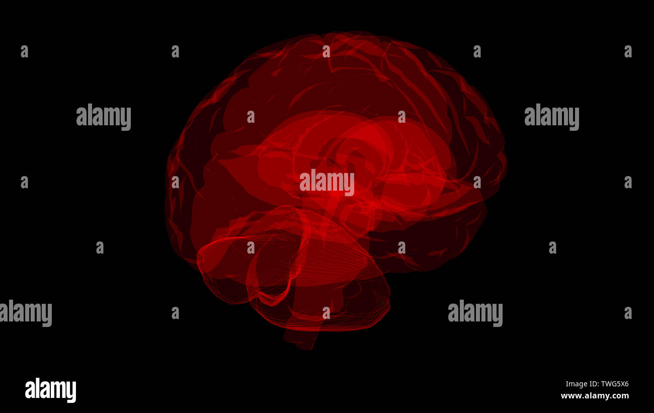 3D rendering of computer model of human brain and artificial ...
