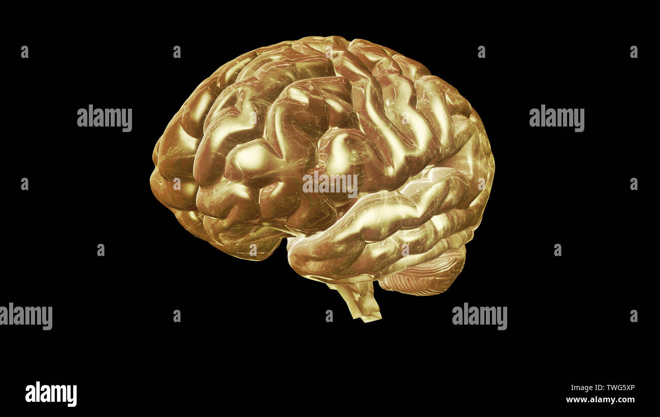 3D rendering of computer model of human brain and artificial ...