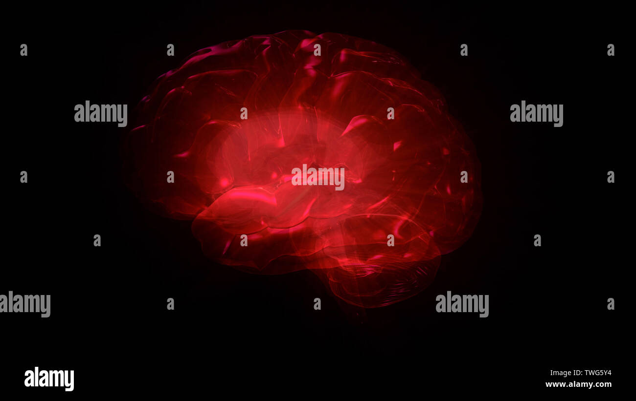 3D rendering of computer model of human brain and artificial ...