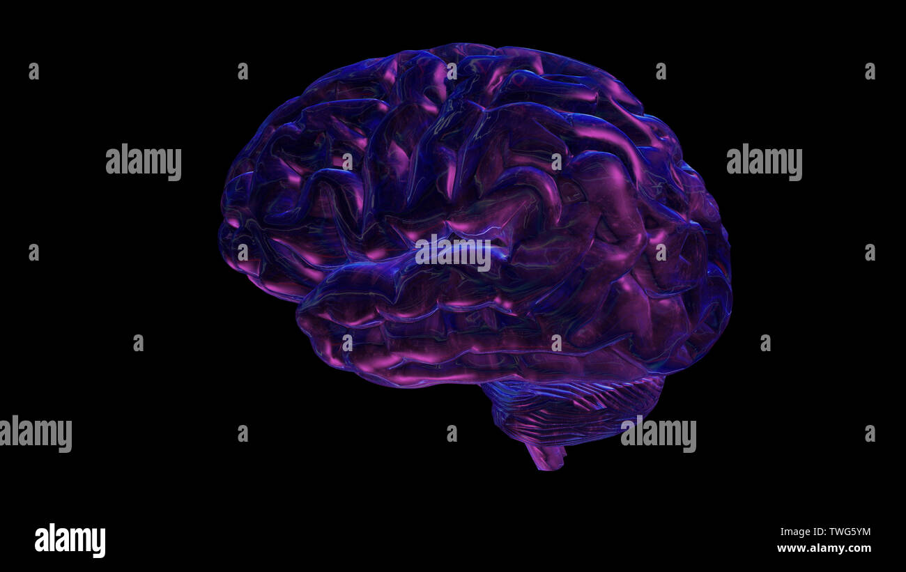 3D rendering of computer model of human brain and artificial ...