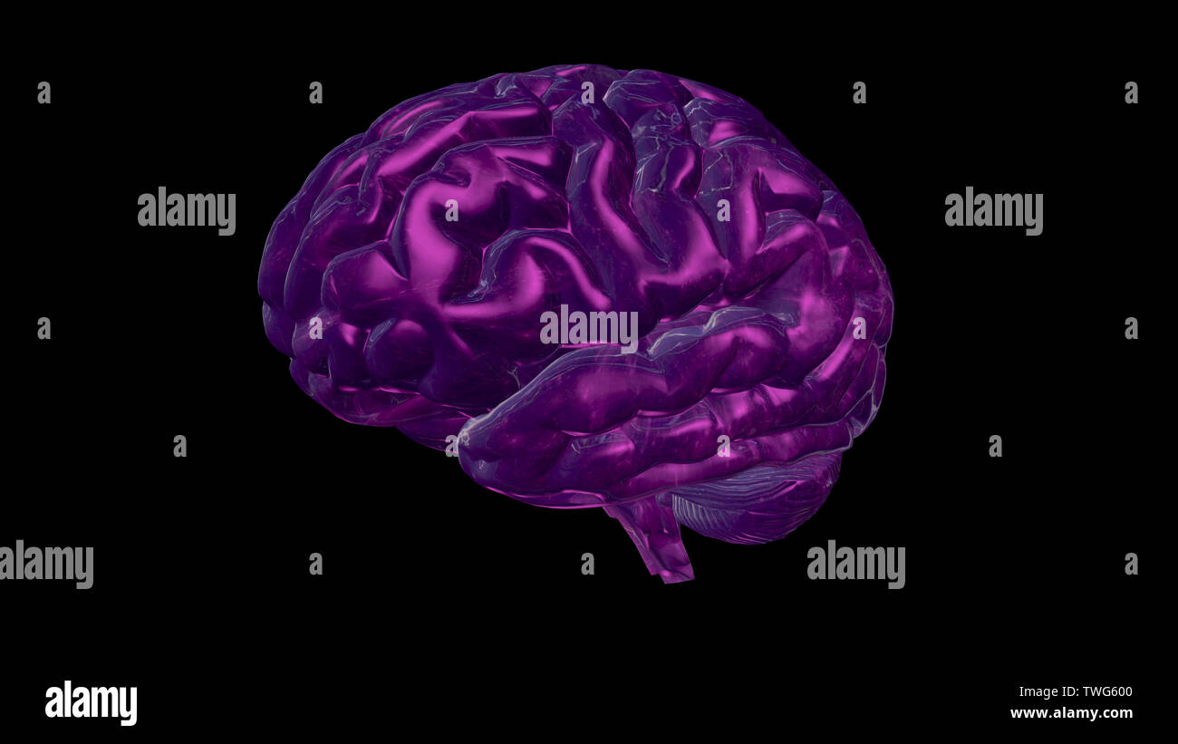 3D rendering of computer model of human brain and artificial ...