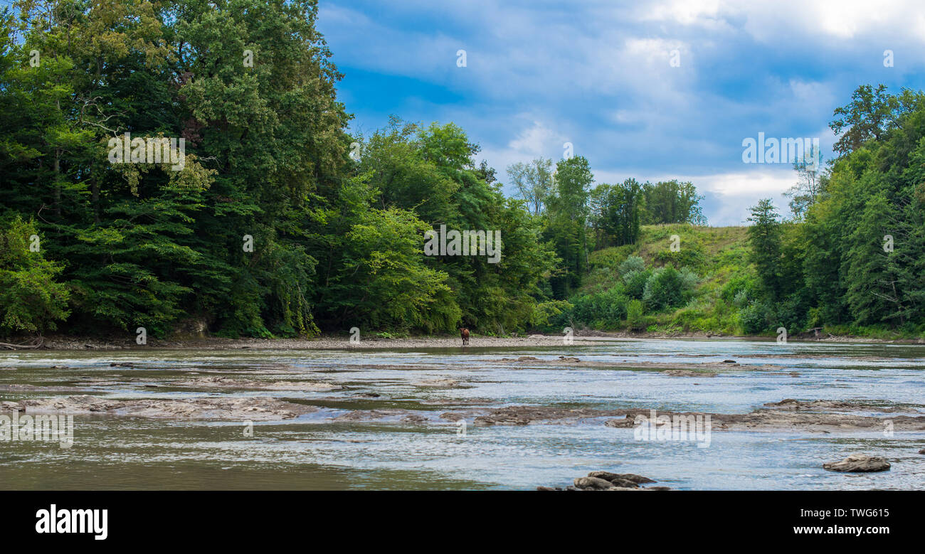 Rural landscape. Trees near a shallow river under a dramatic sky Stock ...