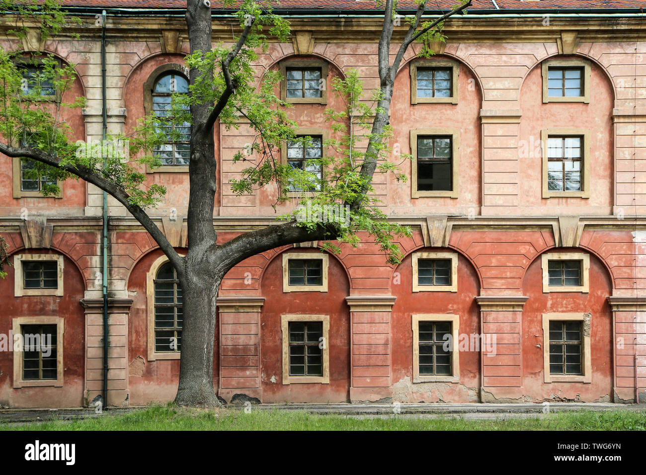 The facade of an old historical building with a tree in front of it ...