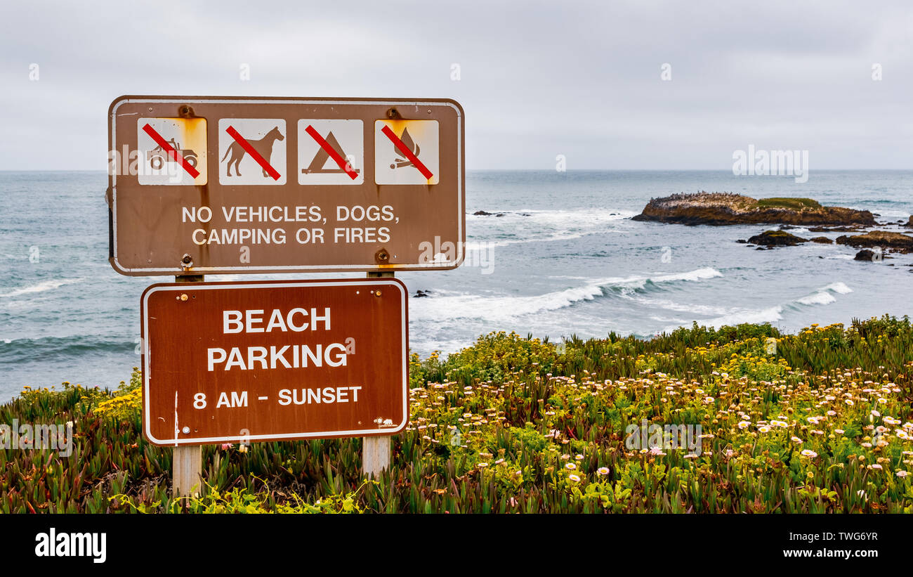 Wildflowers on beach information sign hi-res stock photography and ...
