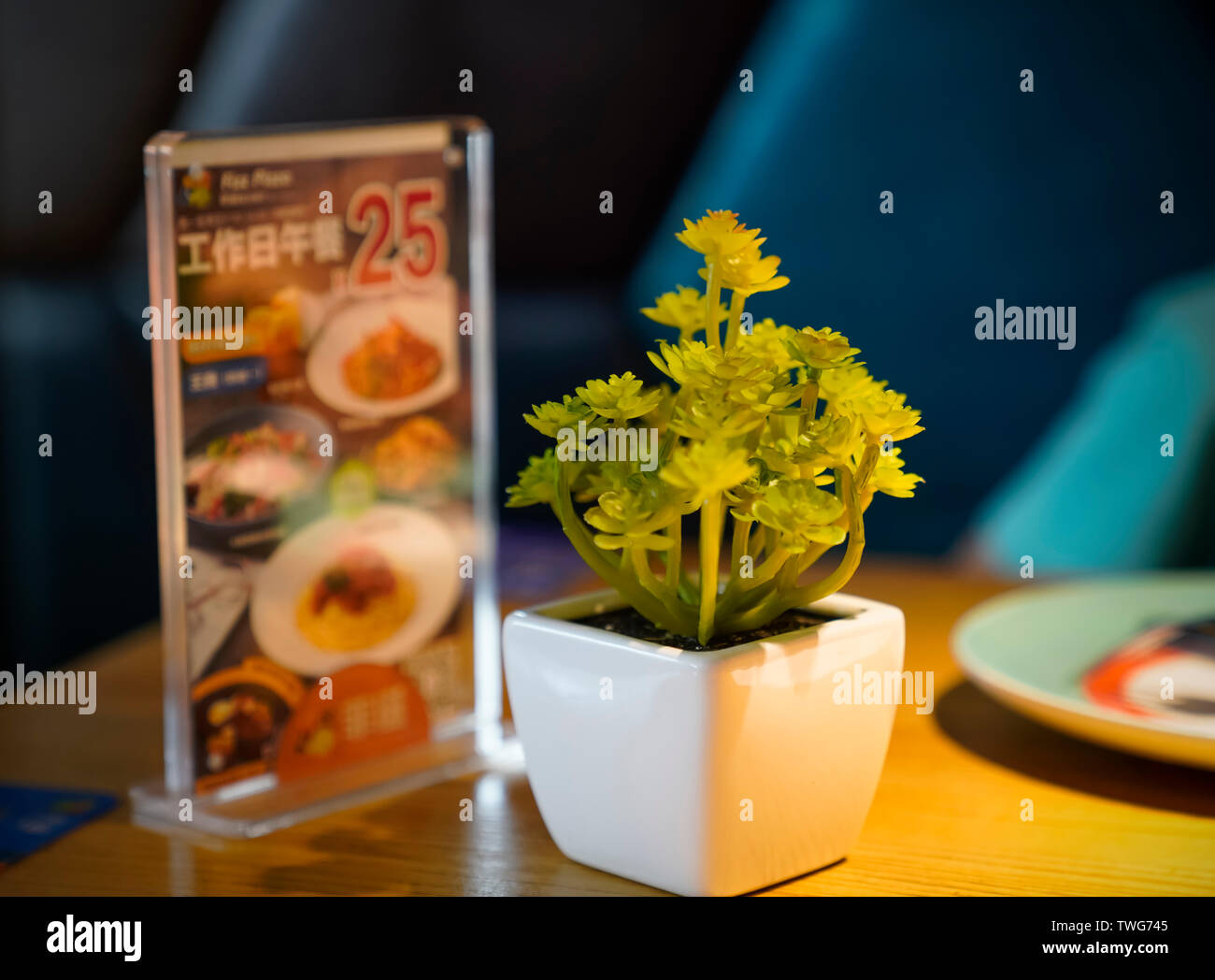 Small tabletop plants Stock Photo - Alamy