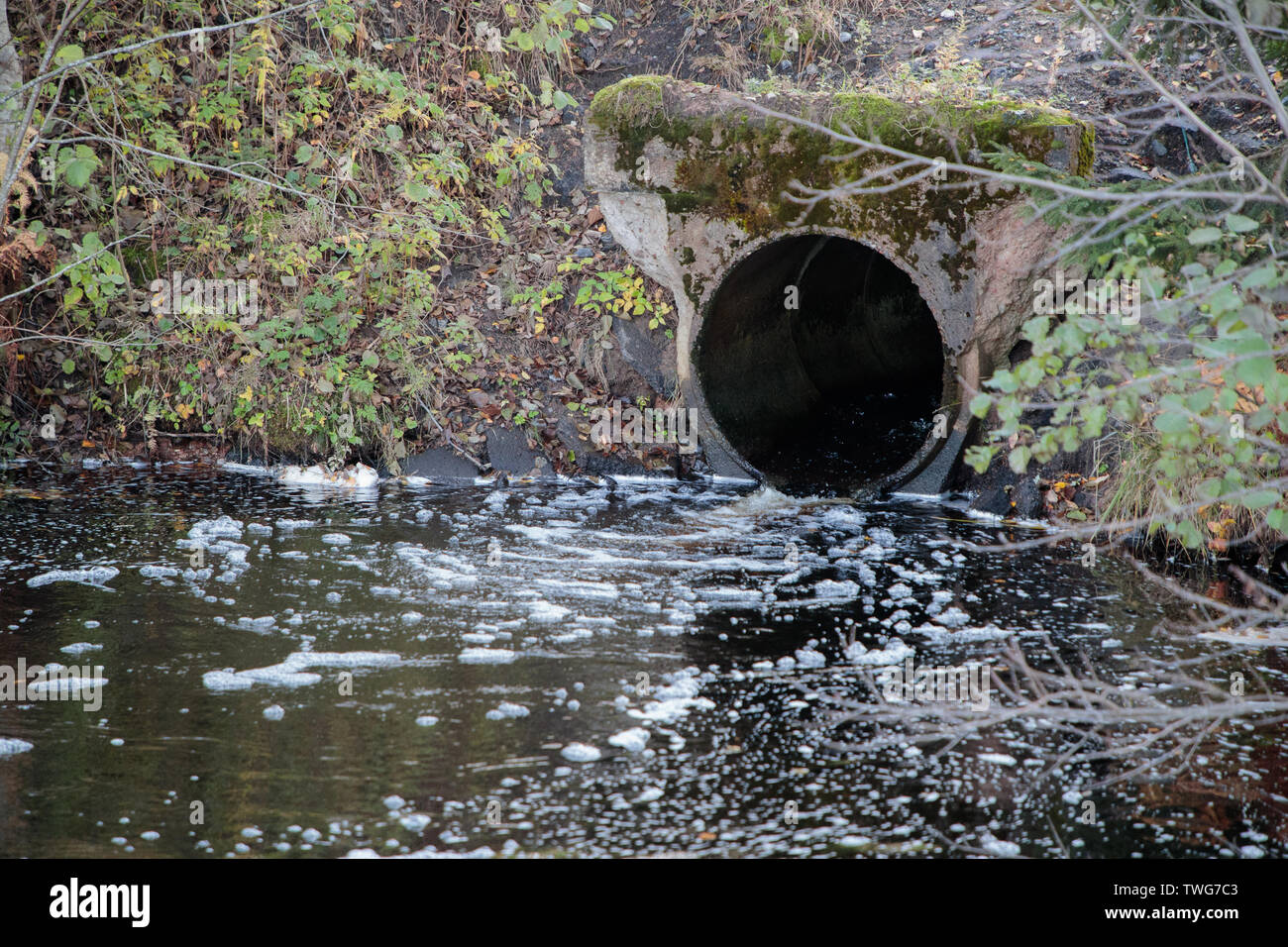 River guide hi-res stock photography and images - Alamy
