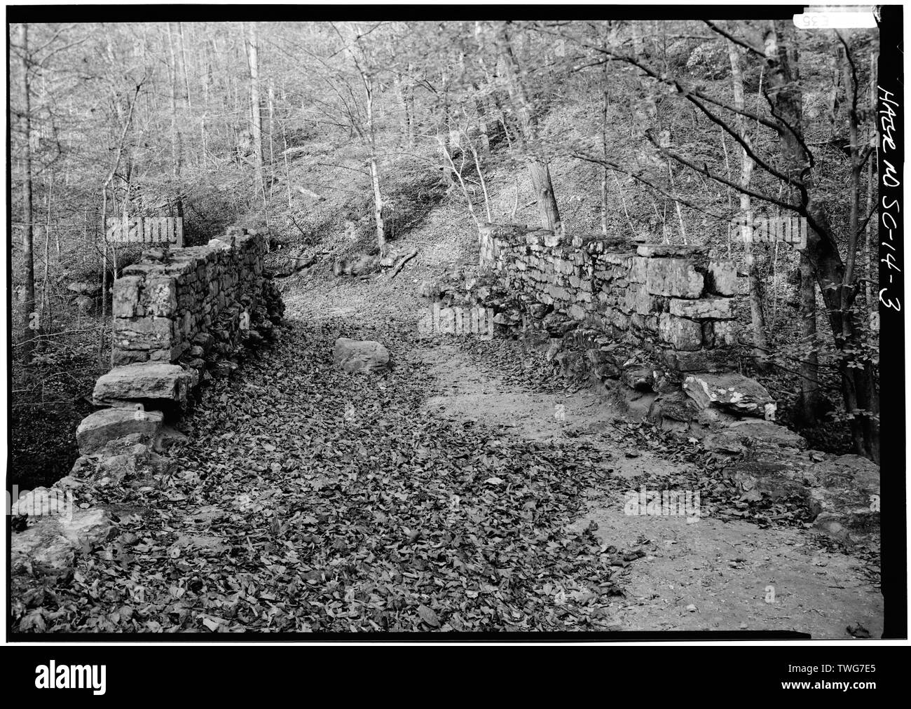 Tigerville Cut Out Stock Images & Pictures - Alamy