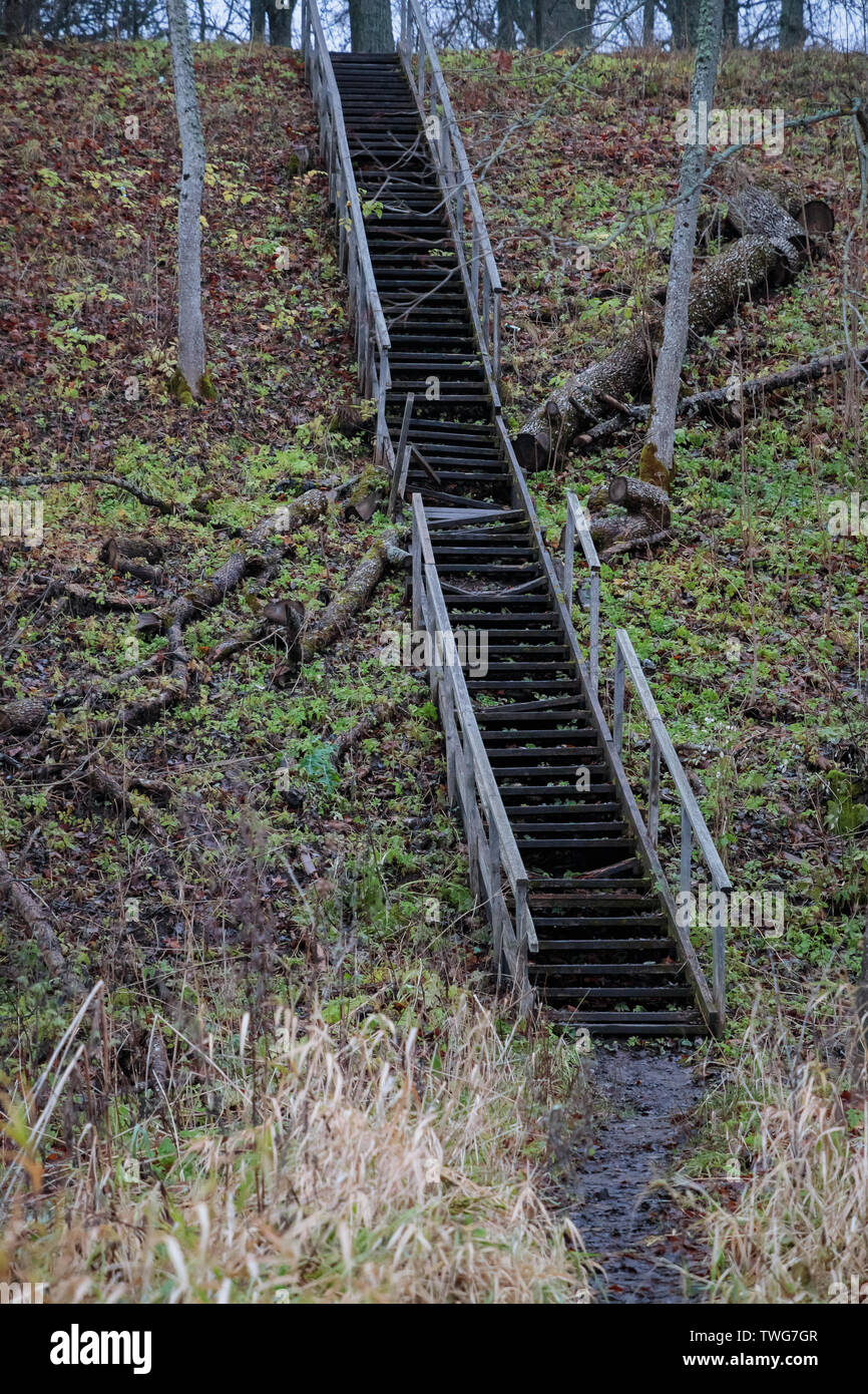 Staircase in the forest hi-res stock photography and images - Alamy