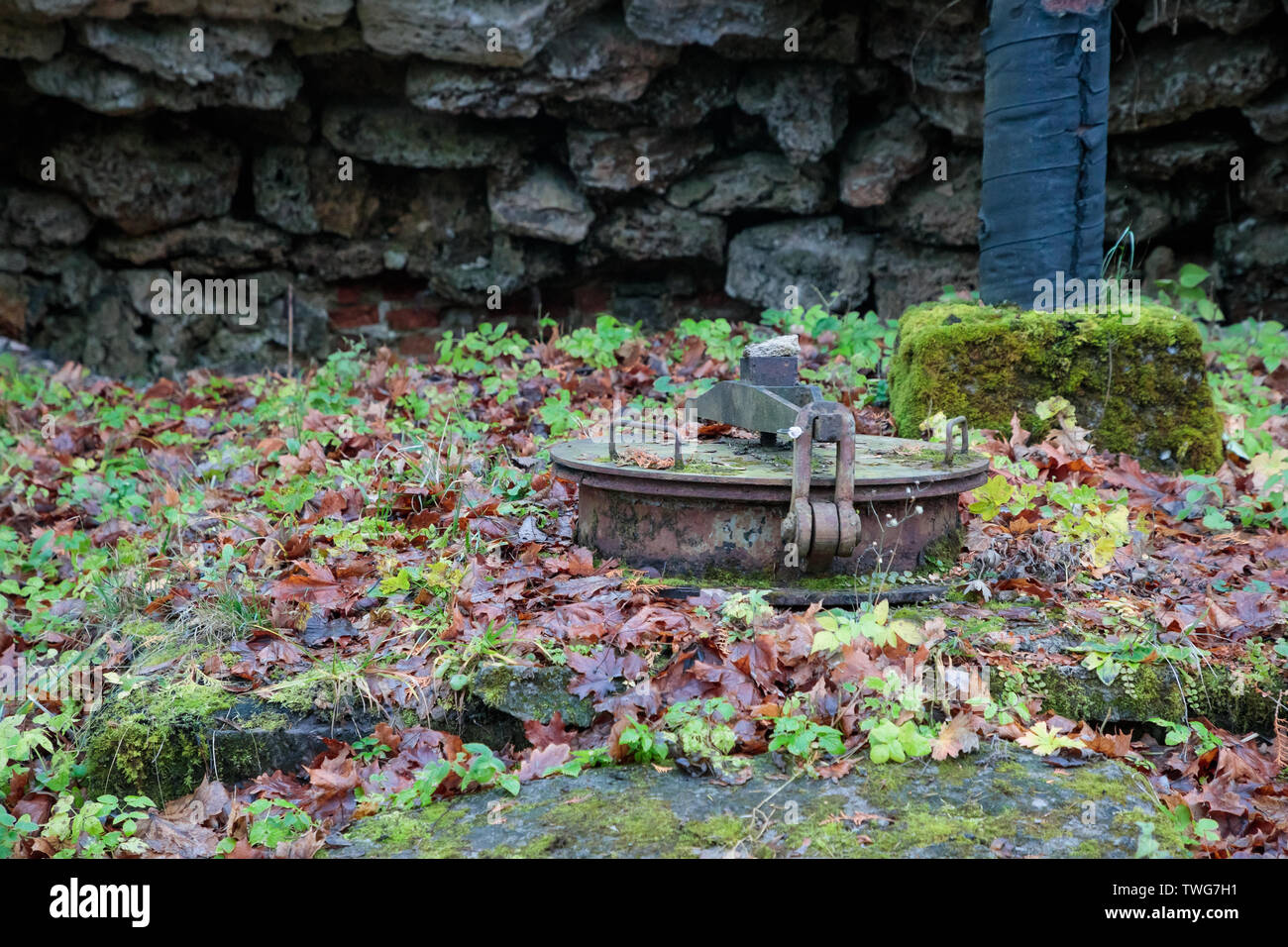 Fall foliage background hi-res stock photography and images - Alamy