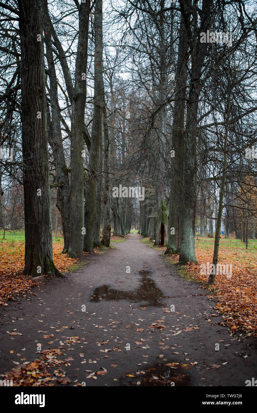 After rain hi-res stock photography and images - Alamy