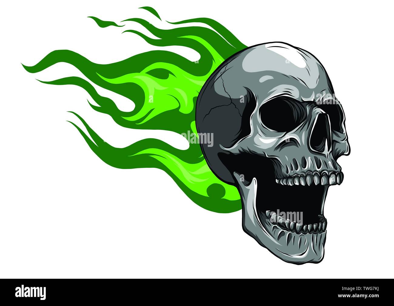 Skull on Fire with Flames Illustration in white background Stock Vector ...