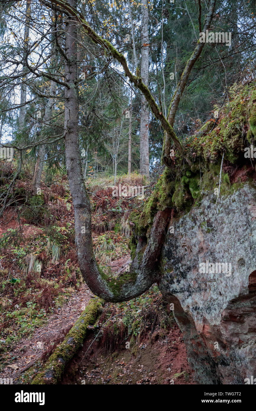 Fused image hi-res stock photography and images - Alamy