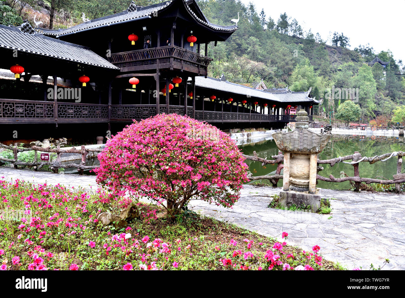 Photographed in Enshi Tushi City, Hubei Province in April 2019 Stock ...