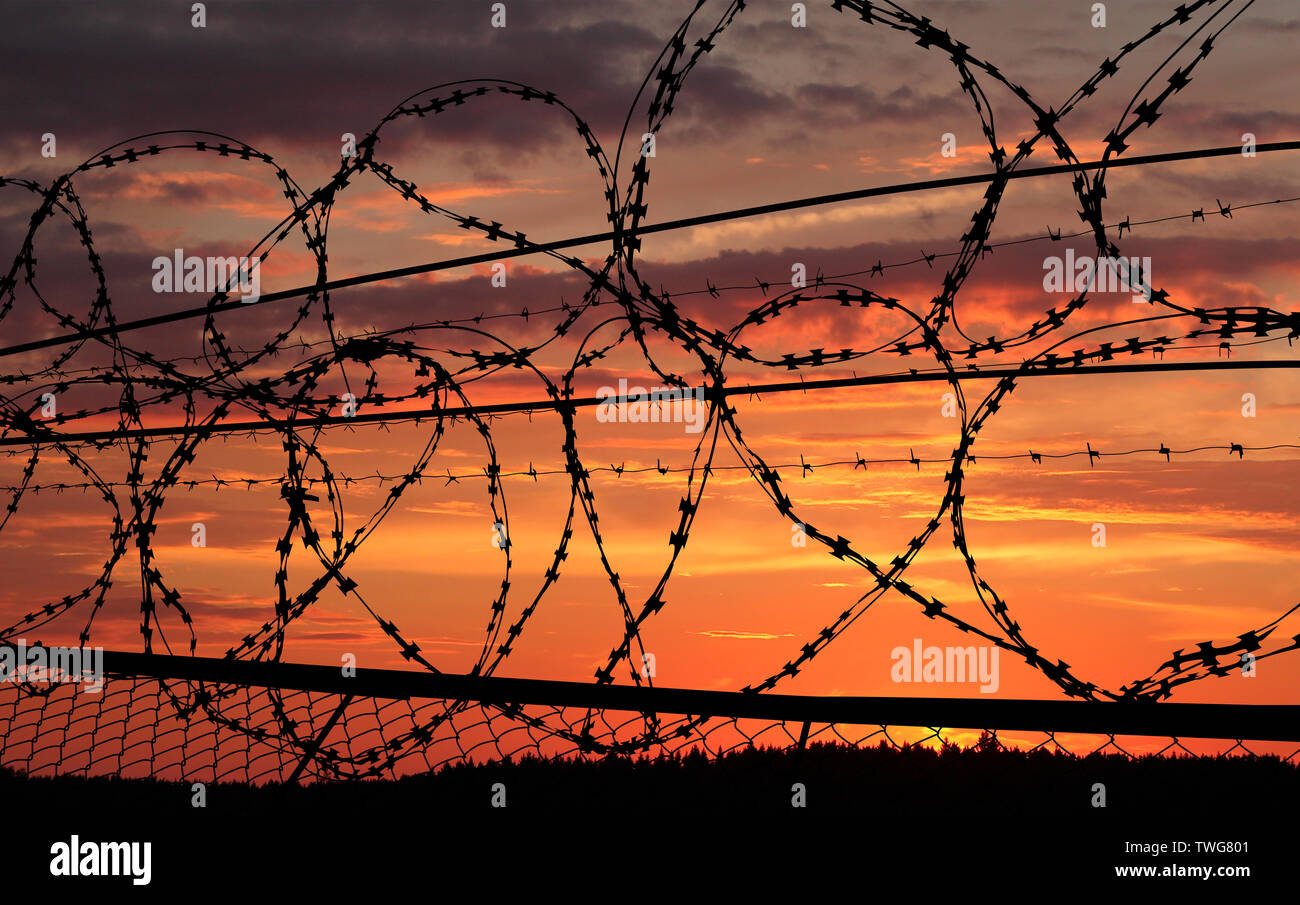 beautiful sunset behind the fence with barbed wire Stock Photo - Alamy