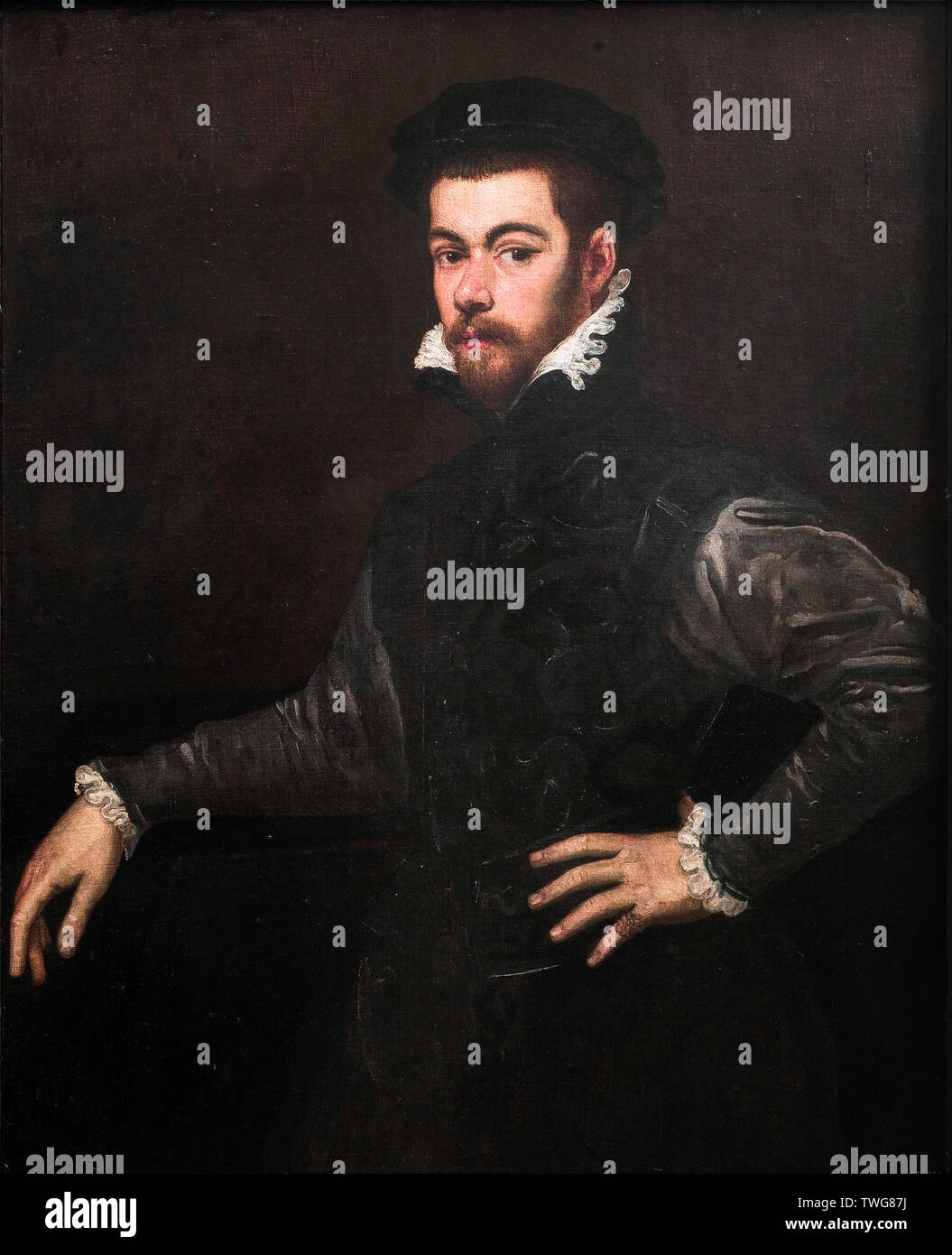 Jacopo Tintoretto, Portrait of a Gentleman, painting, circa 1554 Stock ...