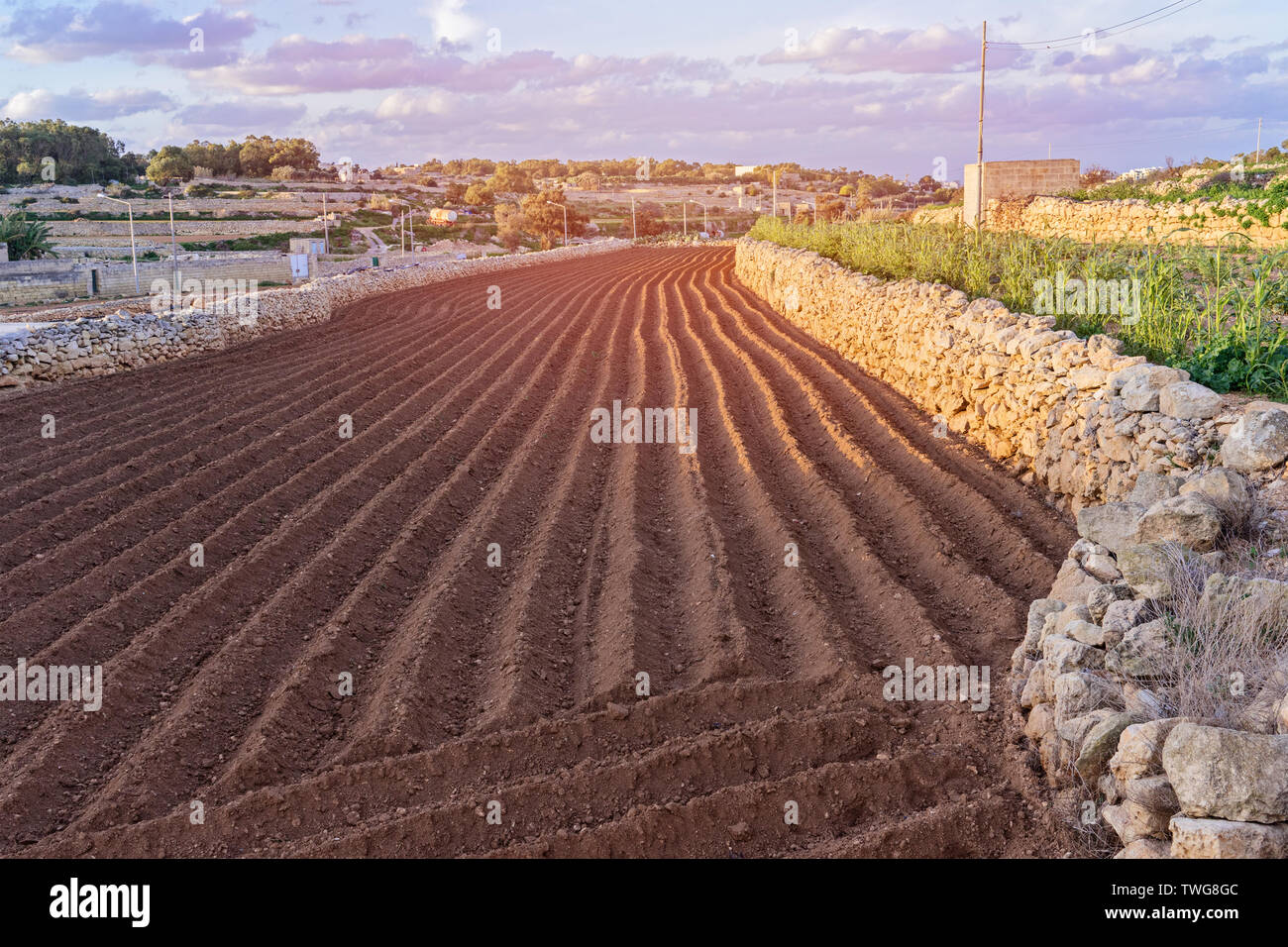 Scenery view of plowed agricultural field prepared for planting with ...