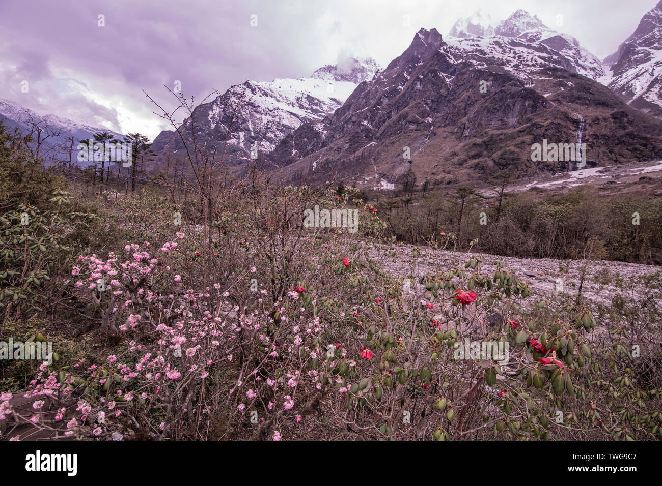 North sikkim waterfalls hi-res stock photography and images - Alamy