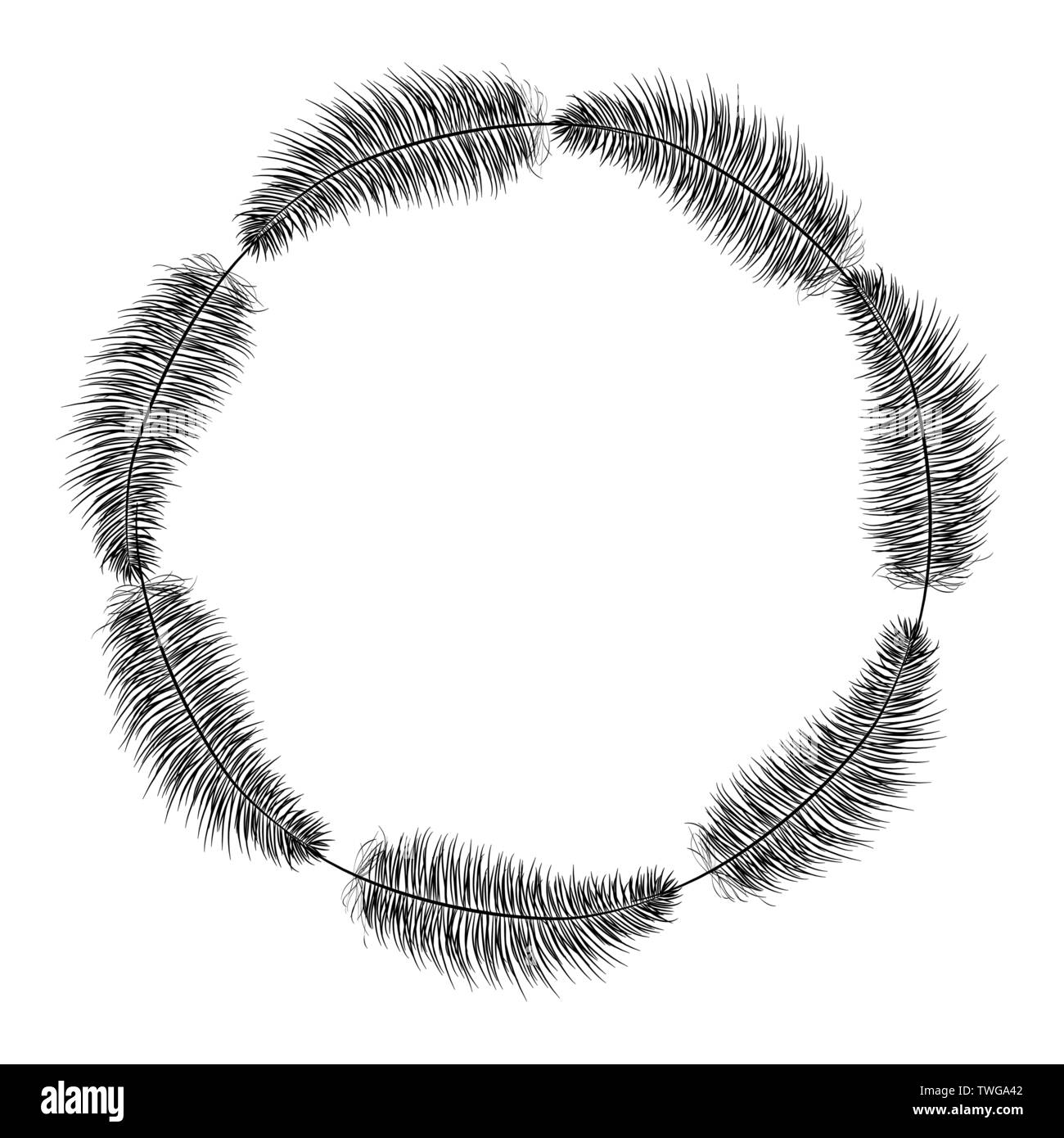 circular bohemian frame with feathers vector illustration design Stock ...