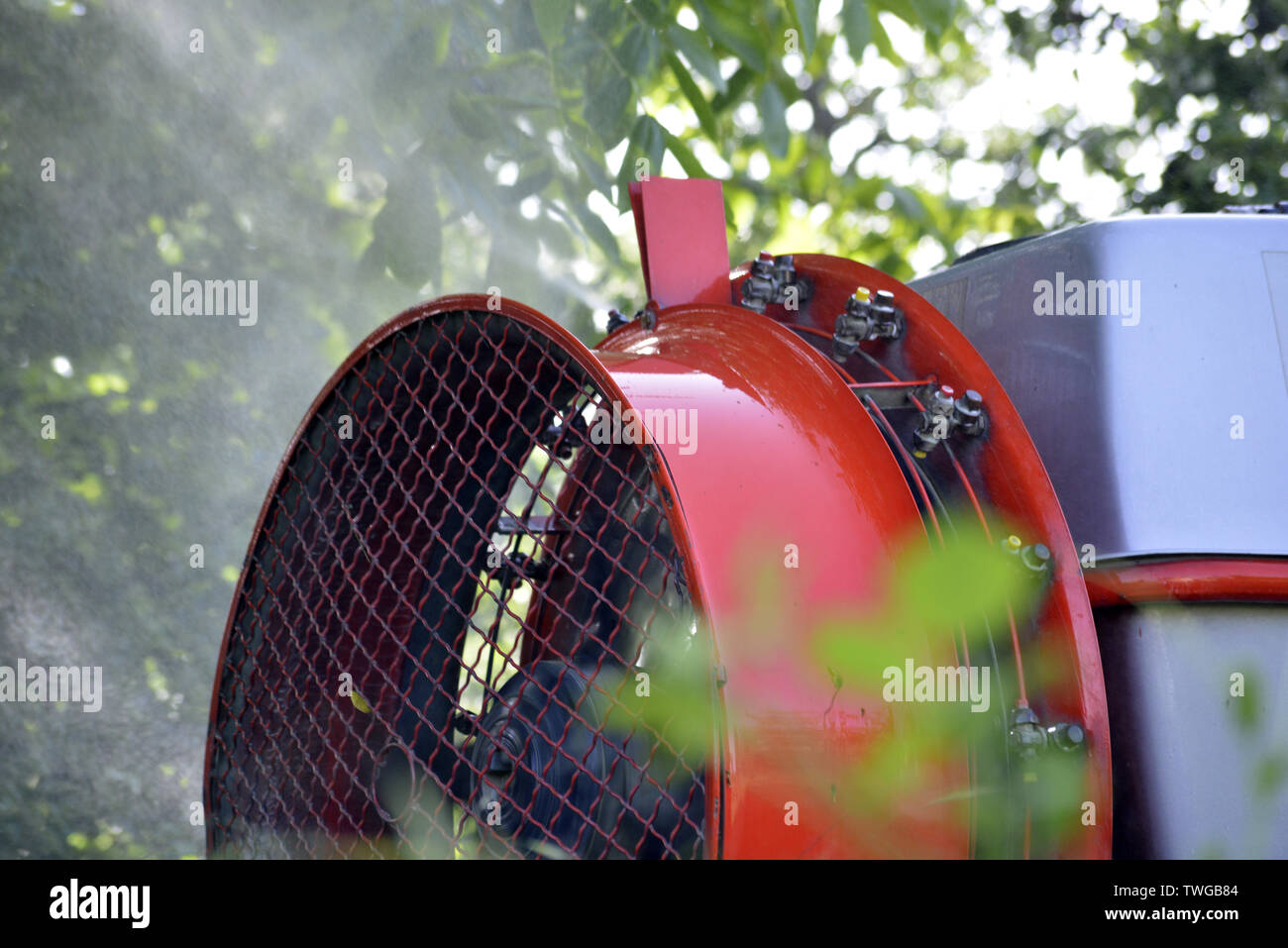 Poison apple tree hi-res stock photography and images - Alamy