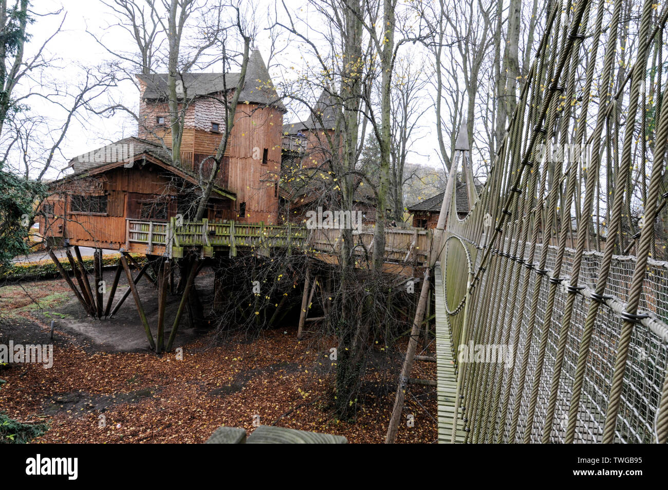 Treehouse uk hi-res stock photography and images - Alamy