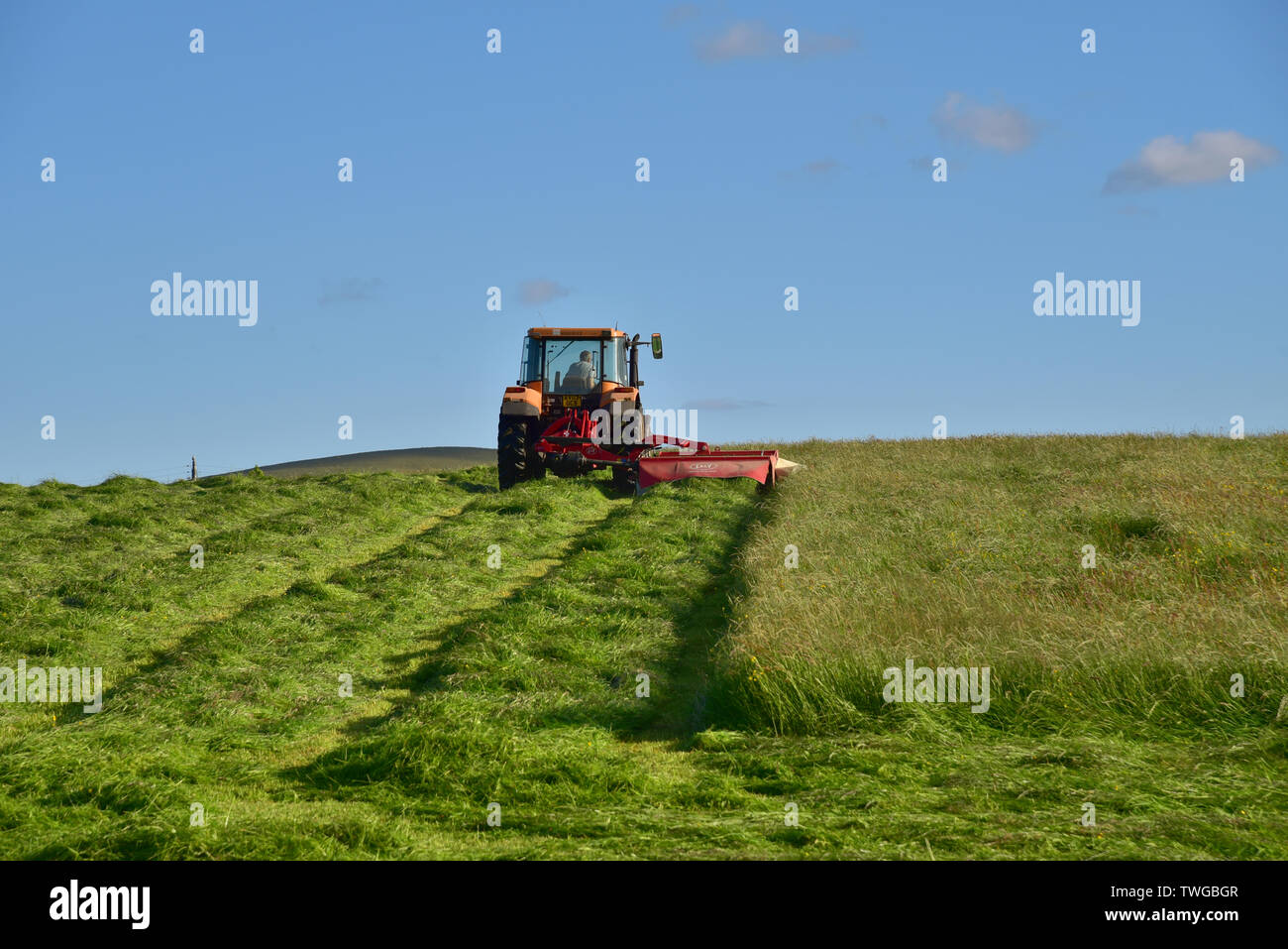 Cutting grass for silage hi-res stock photography and images - Alamy