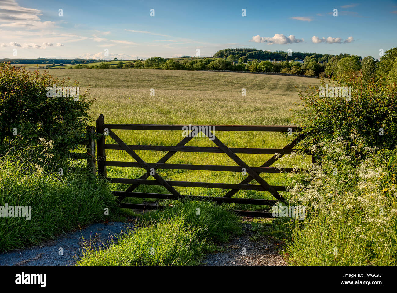 Typical wooden field gate hi-res stock photography and images - Alamy