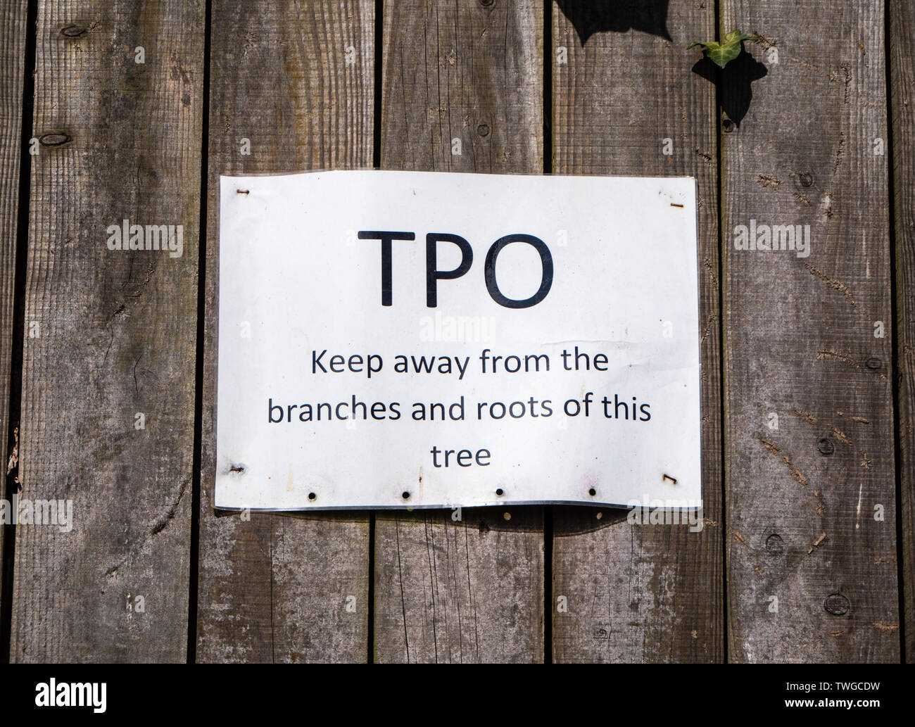 Tree Preservation Order Sign, at Goring-on-Thames, Railway Station ...