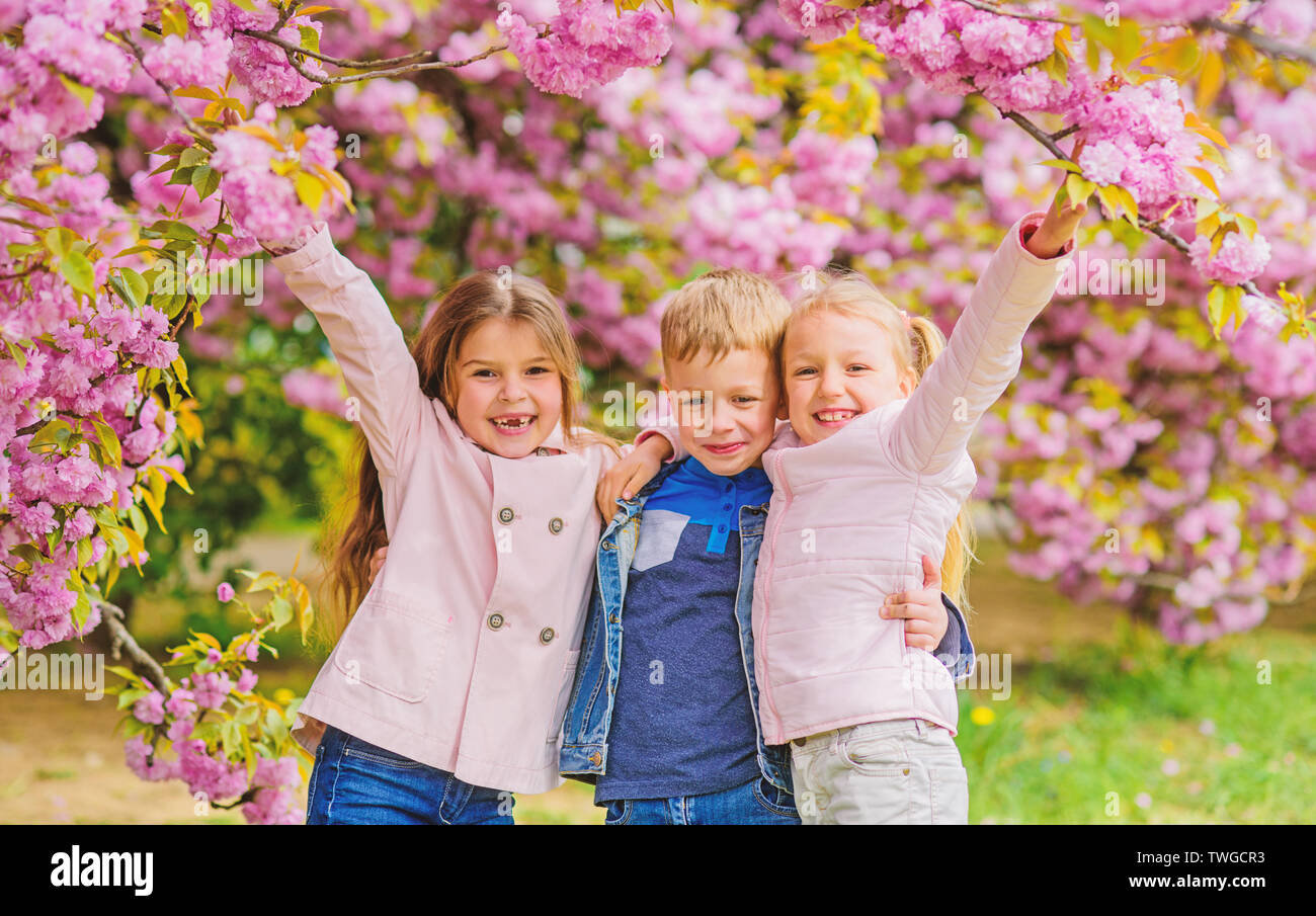 Happy spring vacation. Children enjoy warm spring. Lost in blossom ...