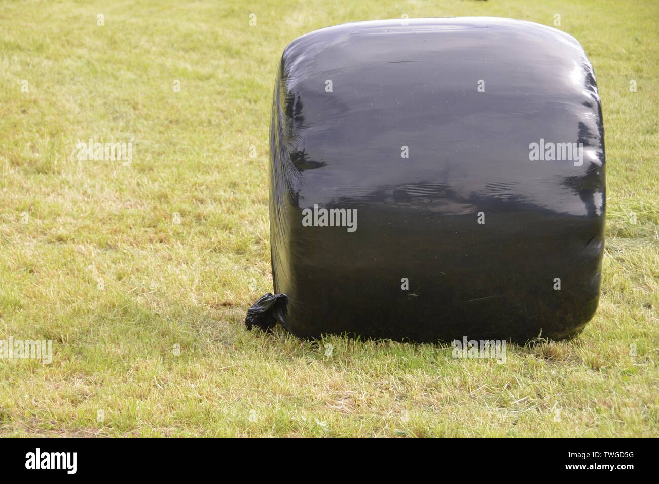 black hay role on the field Stock Photo - Alamy