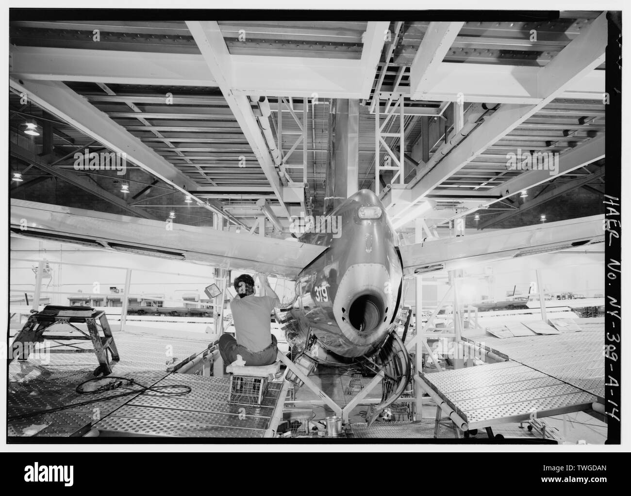 Use their tail to stand hi-res stock photography and images - Alamy