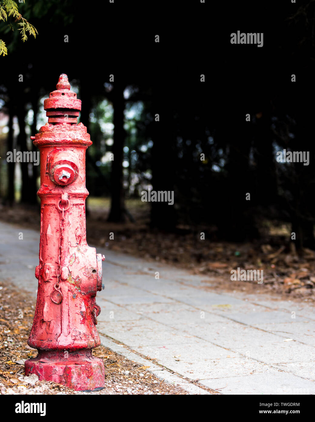 Red fireplug on the street - fire brigade, fire prevention Stock Photo ...