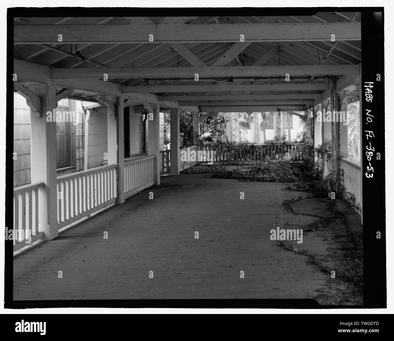 Upper wing Cut Out Stock Images & Pictures - Alamy