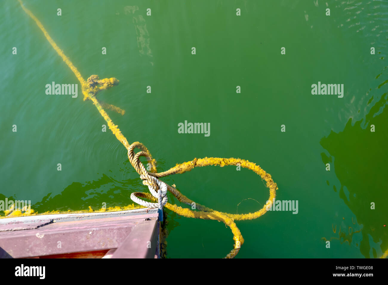 rope on the water Stock Photo - Alamy