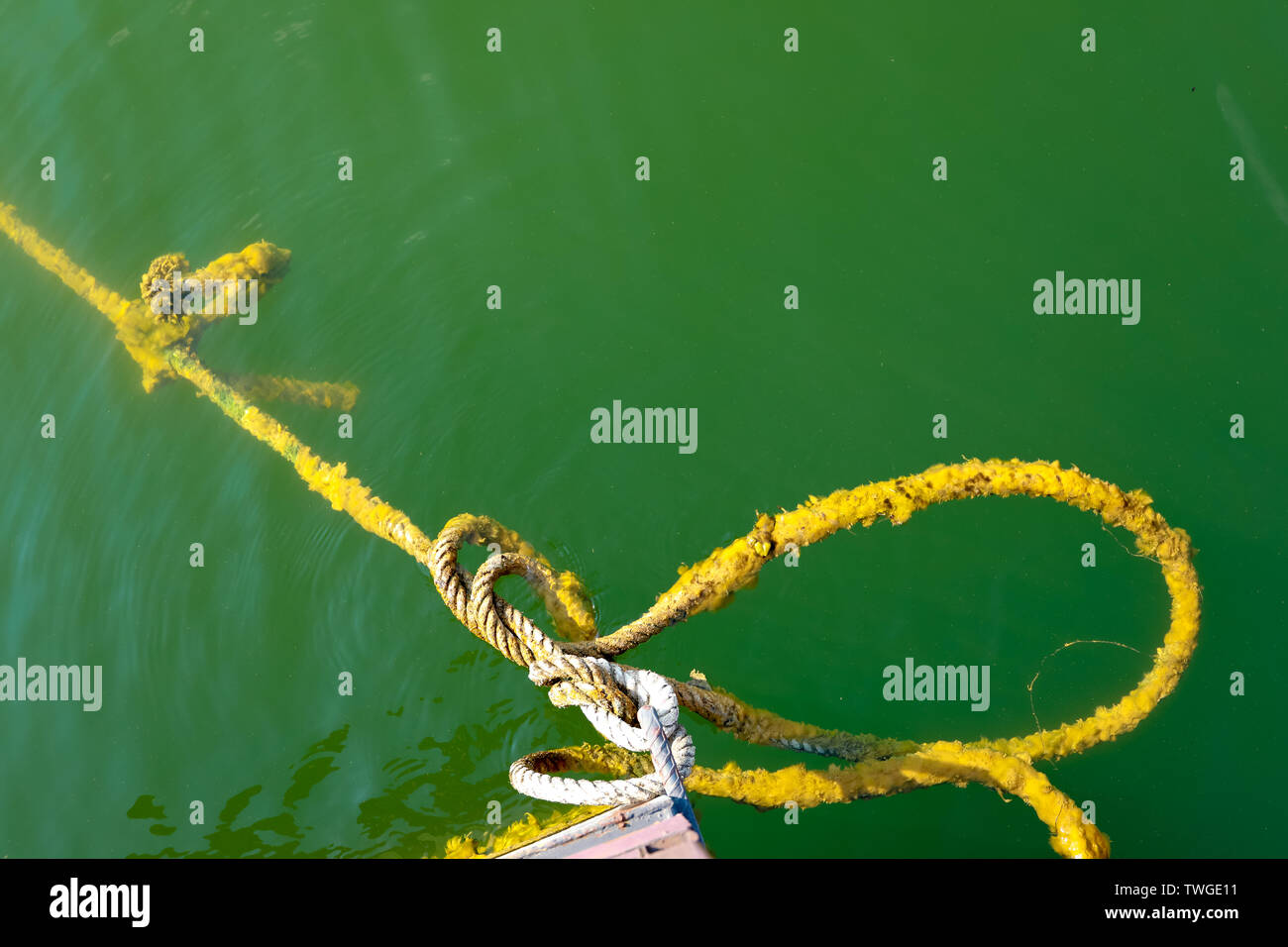 rope on the water Stock Photo - Alamy