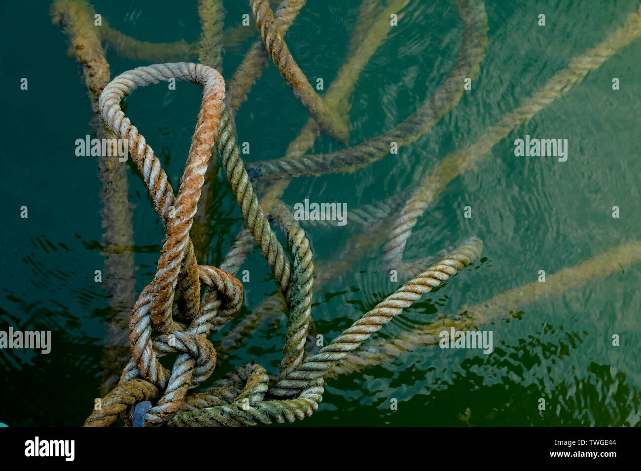 rope on the water Stock Photo - Alamy