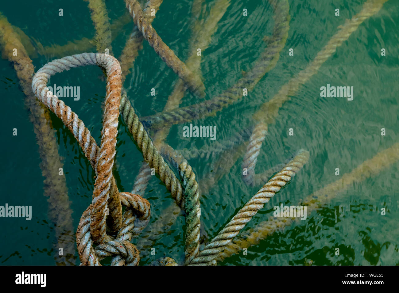 rope on the water Stock Photo - Alamy