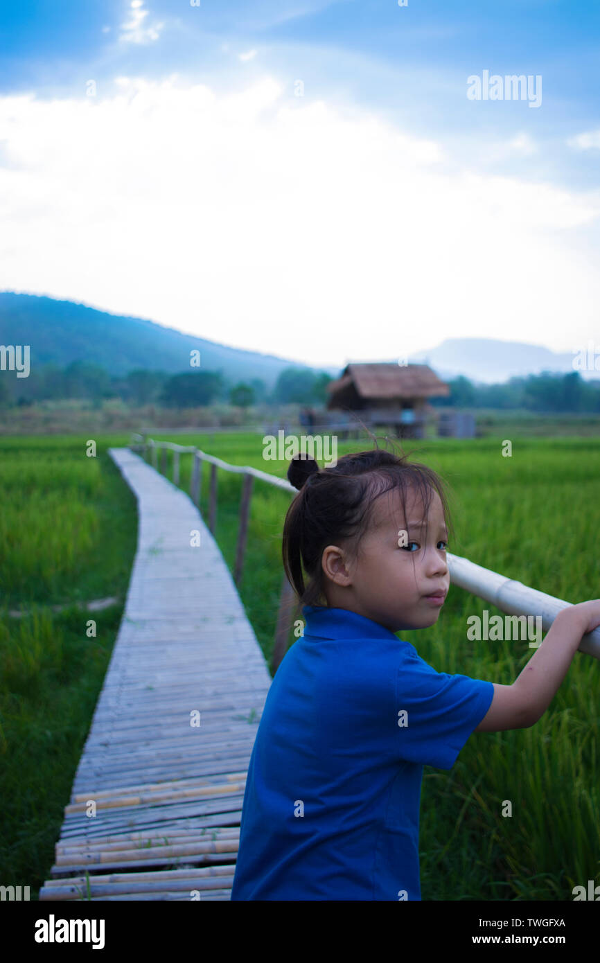 Stair Rice Field High Resolution Stock Photography and Images - Alamy
