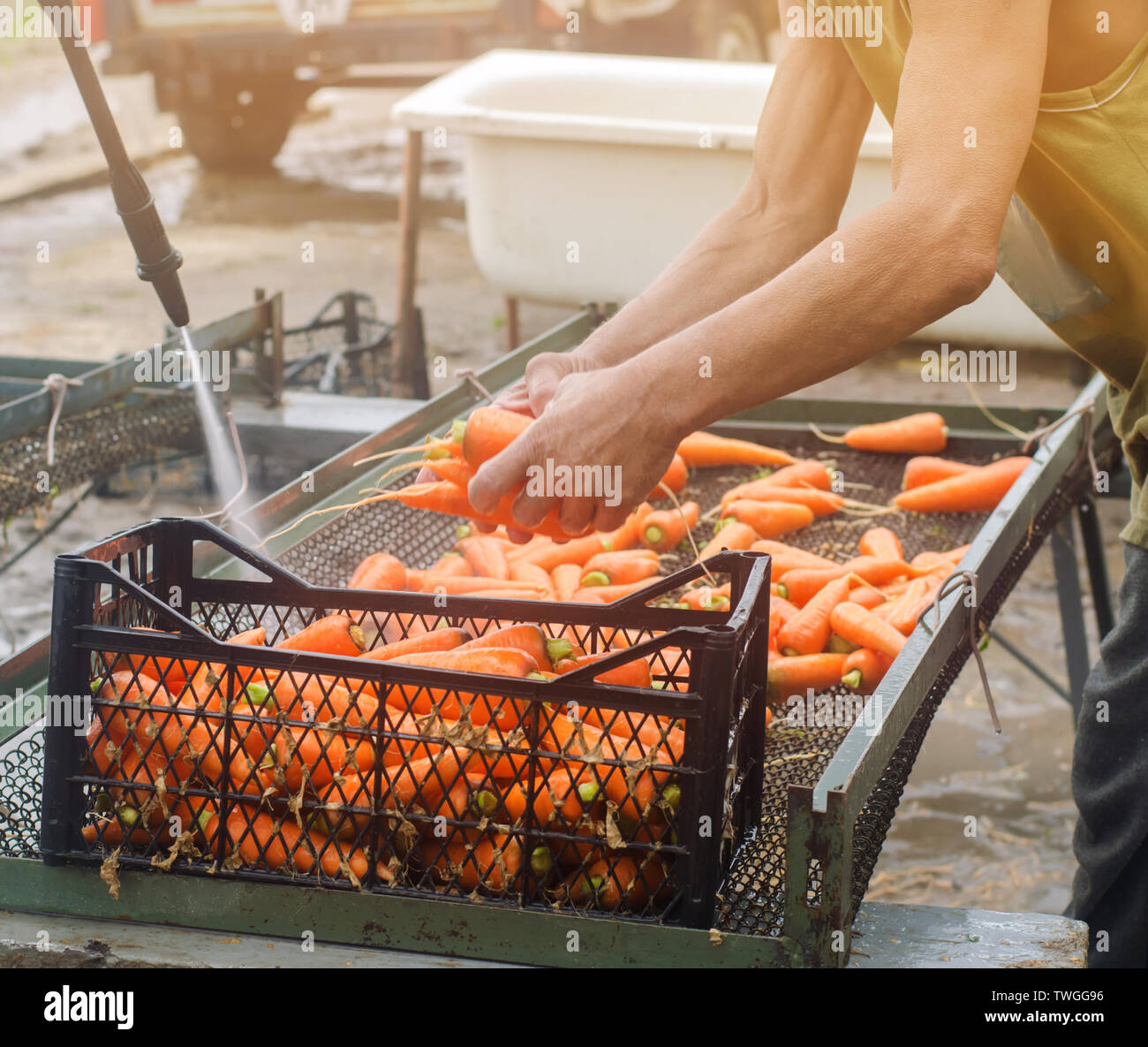 Pressure washer farm hi-res stock photography and images - Alamy