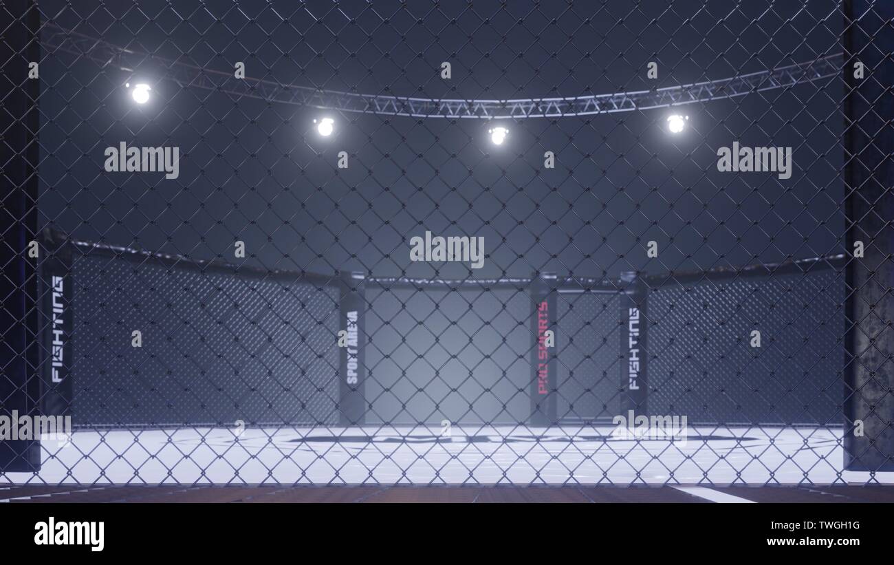 A 3d render of MMA arena fight cage under floodlights Stock Photo - Alamy