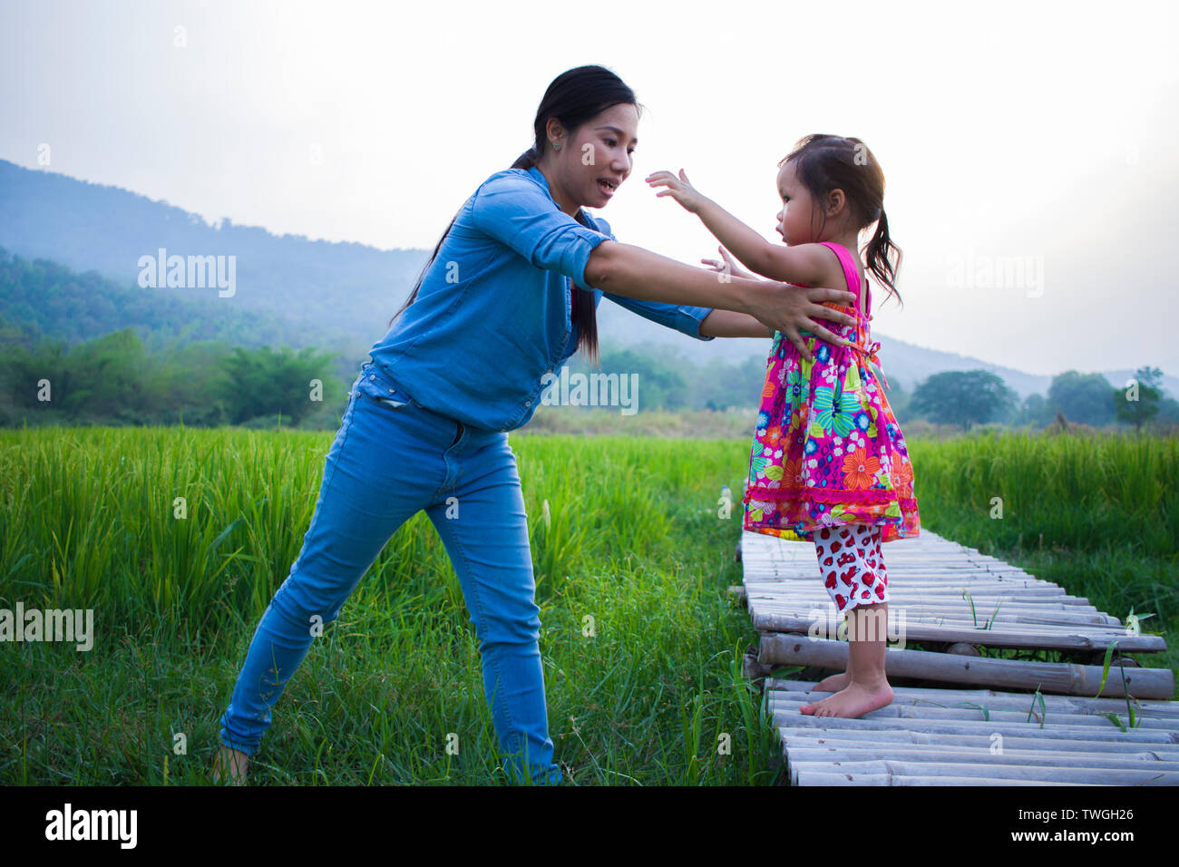 Mother help her child to cross stream, mother lifting daughter in rice ...