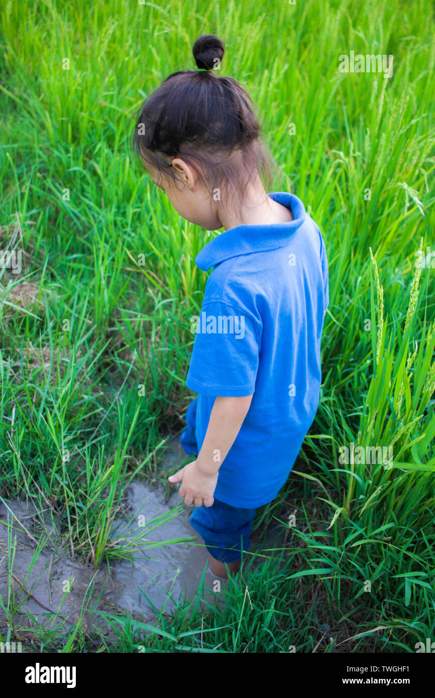 Asian children play jumping in the muddy puddle at rice field. High ...