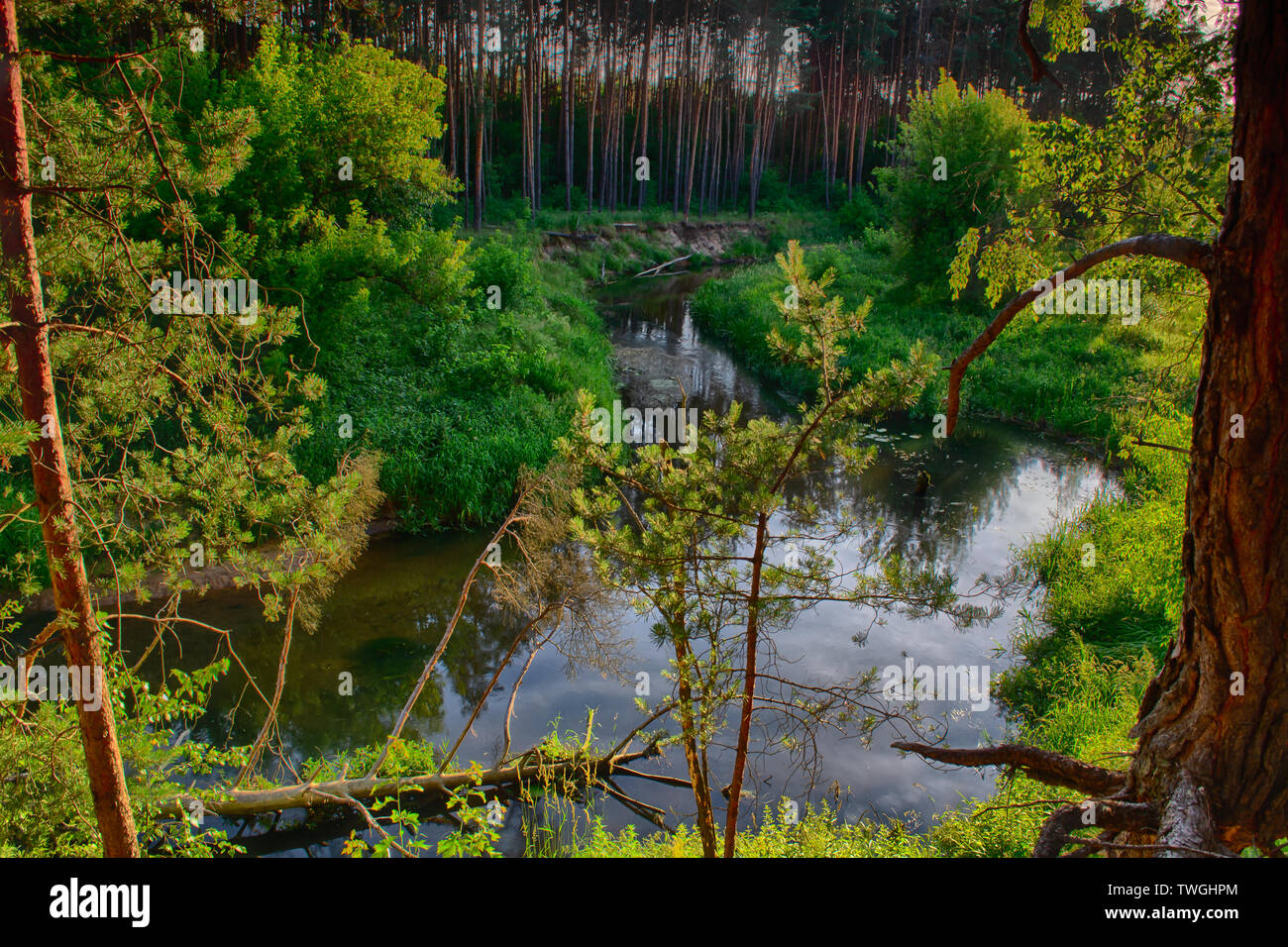 Mysterious River Grabia in spring day, Poland Stock Photo - Alamy