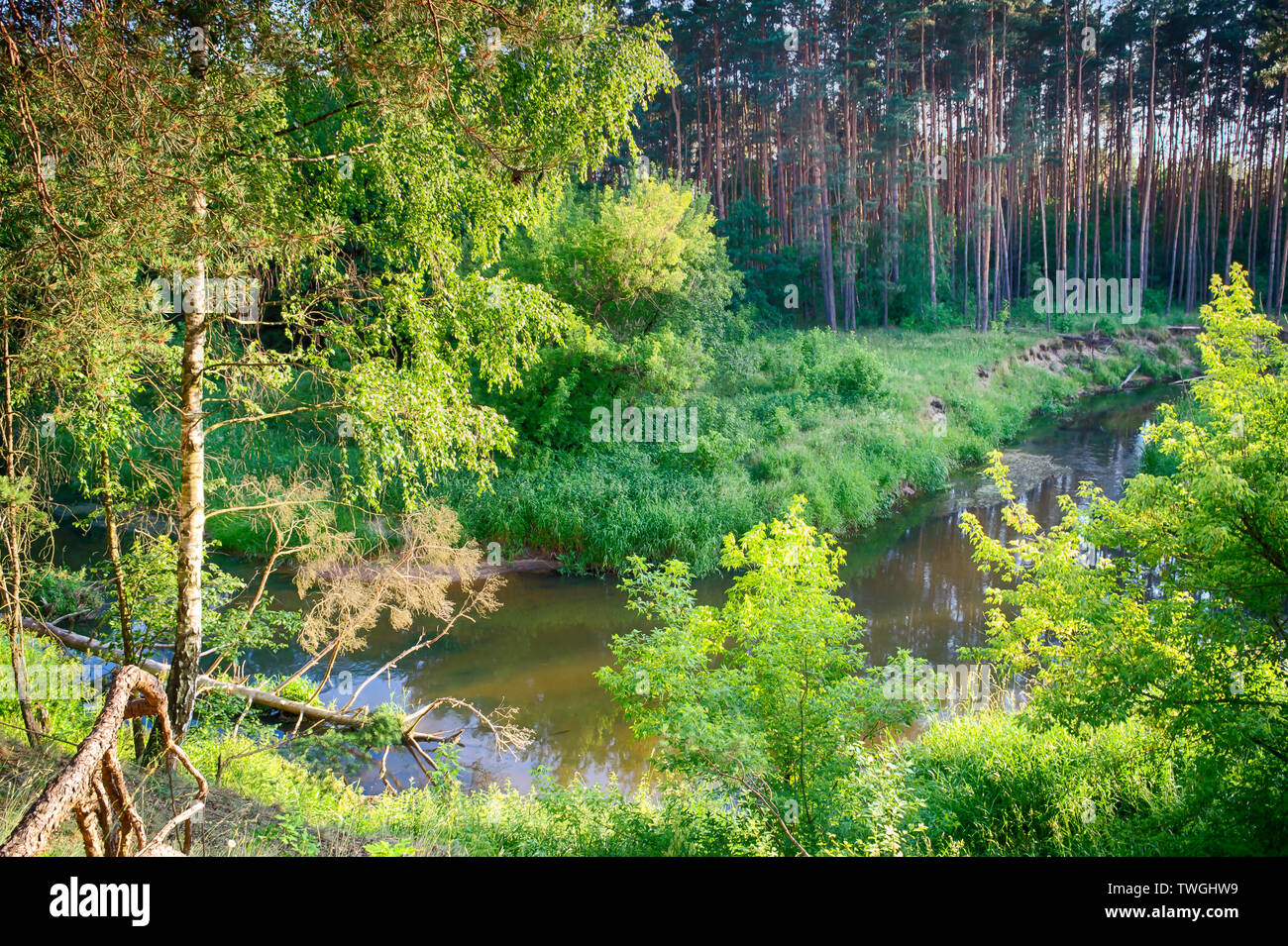 Mysterious River Grabia in spring day, Poland Stock Photo - Alamy