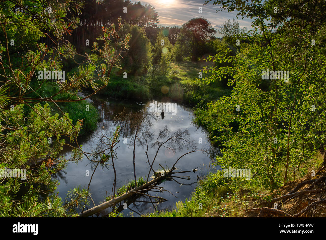 Mysterious River Grabia in spring day, Poland Stock Photo - Alamy